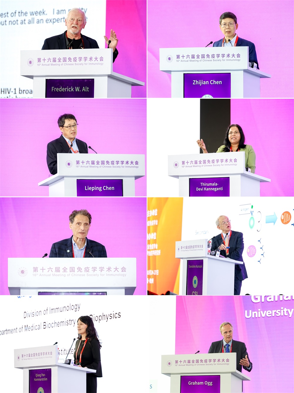 中国免疫学会英文